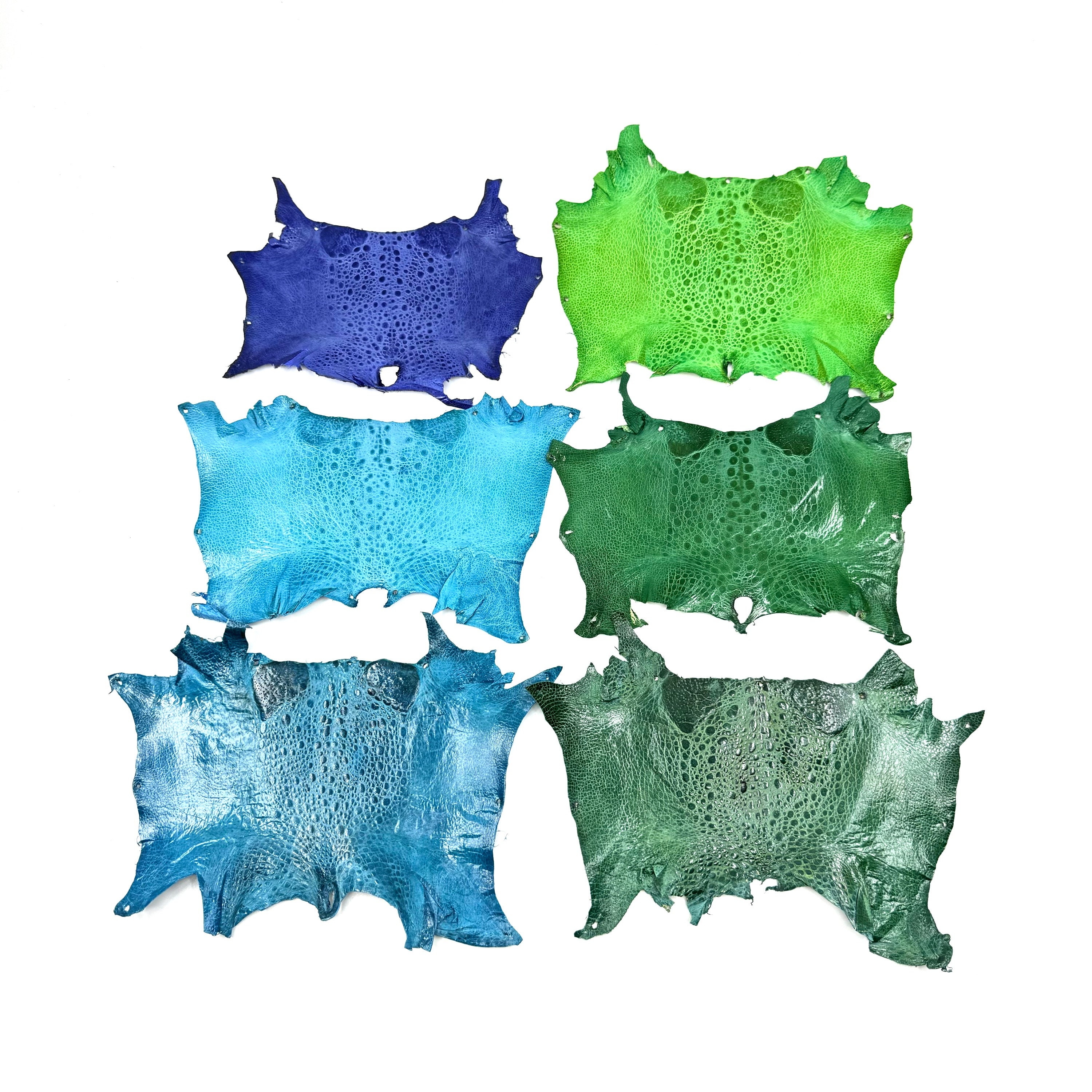 Bufo Marinus Cane Toad Skin Professionally Dyed Leather Gloss ...