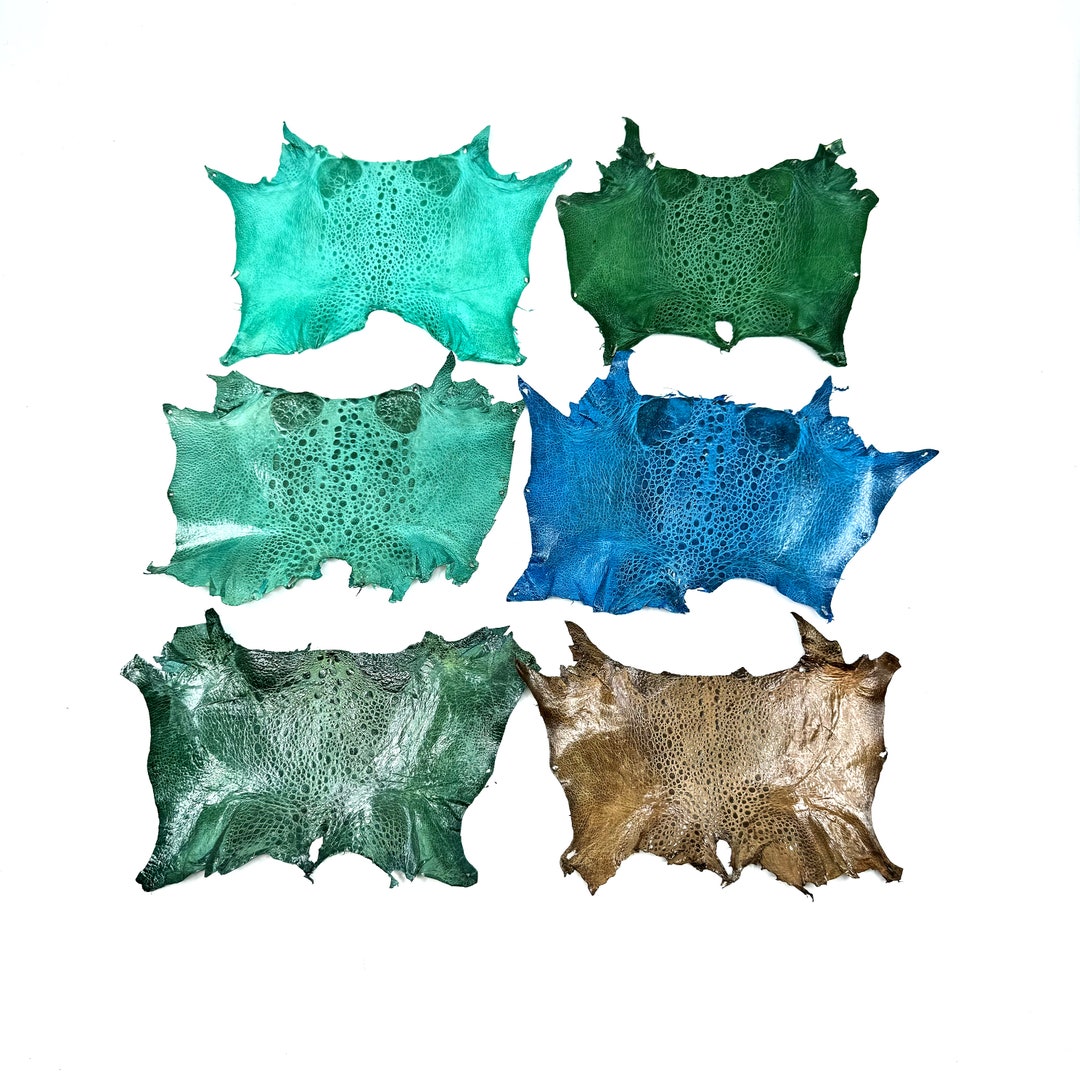 Bufo Marinus Cane Toad Skin Professionally Dyed Leather Gloss ...