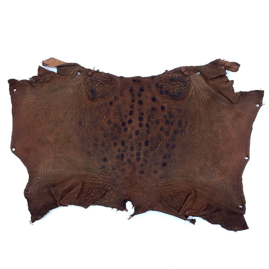 Bufo Marinus Cane Toad Skin Professionally Dyed Leather Matte Chocolate ...