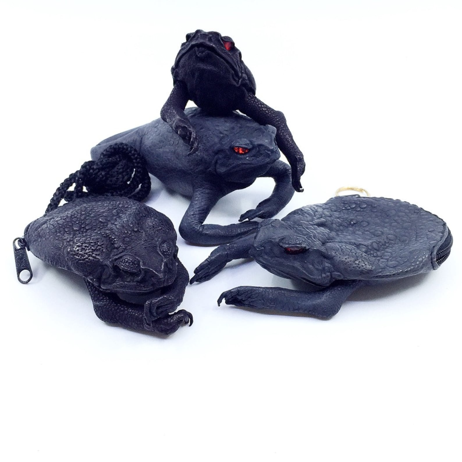 New Genuine Bufo Marinus Lucky Cane Toad Taxidermy Small Green | Etsy