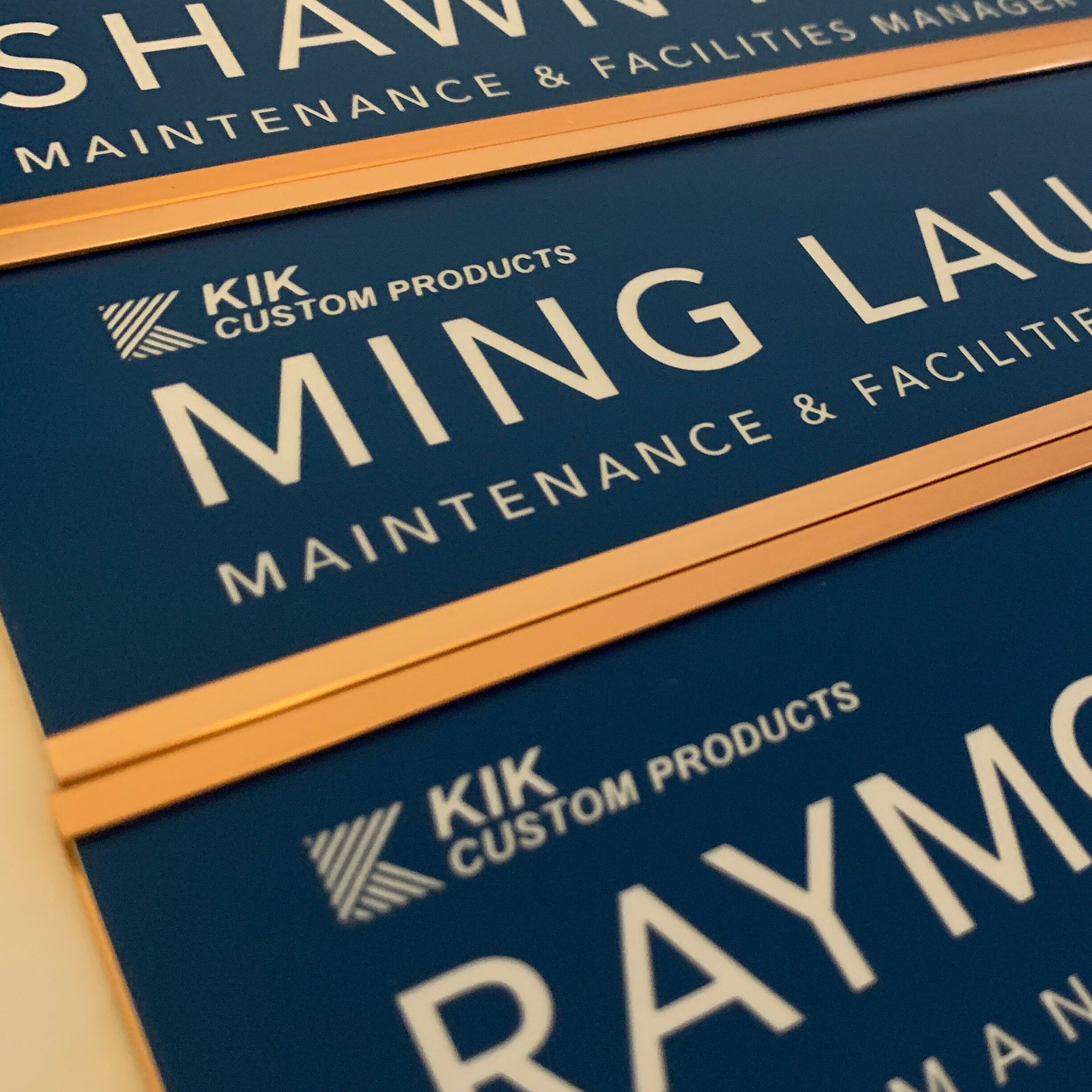 Engraved Custom Office Desk Name Plate, Funny Home Office Gifts ...