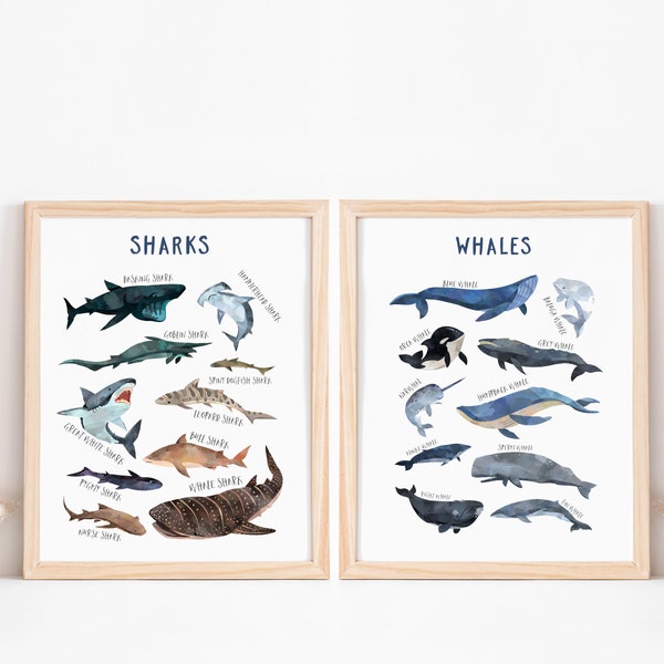 Whale Art Print - Etsy