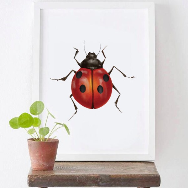 Ladybug Nursery - Etsy