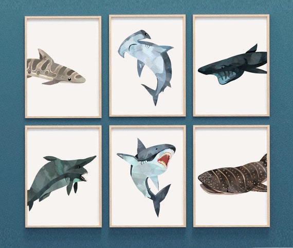 Shark Poster Ideas