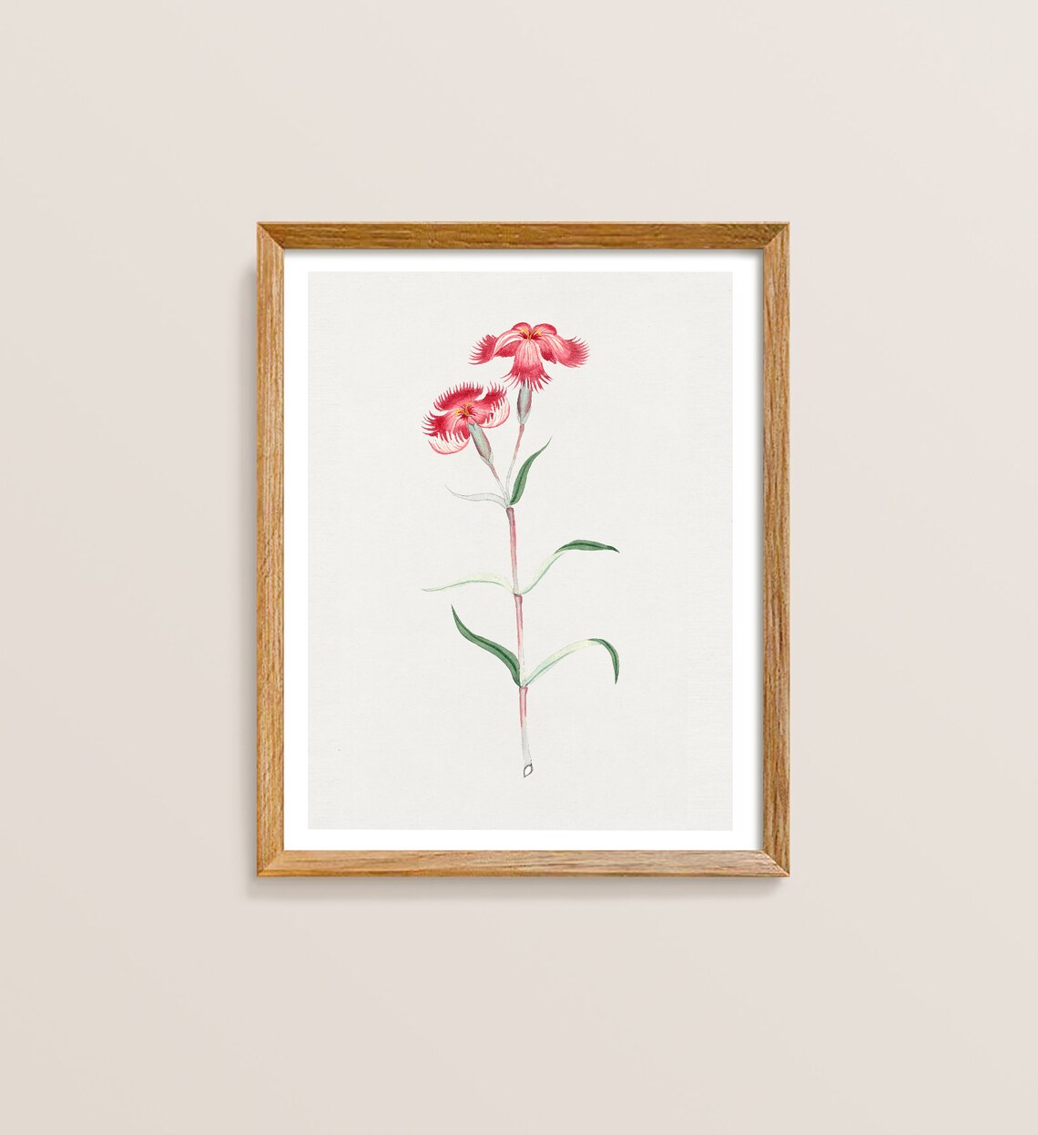 Japanese Flower Art Print Botanical Art Print Japandi Style - Etsy