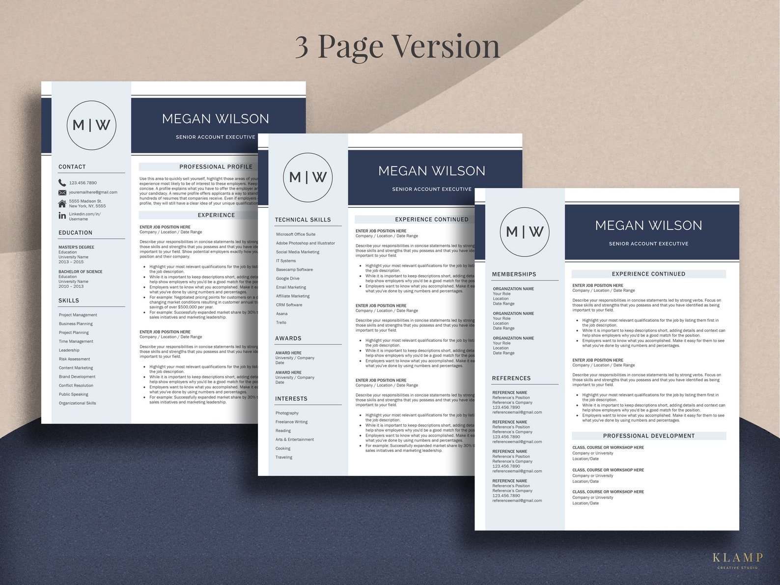 Executive Resume Template, Professional Resume CV Template for Word and ...