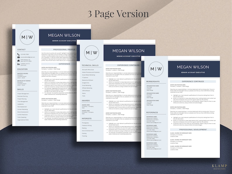 Executive Resume Template, Professional Resume CV Template for Word and ...