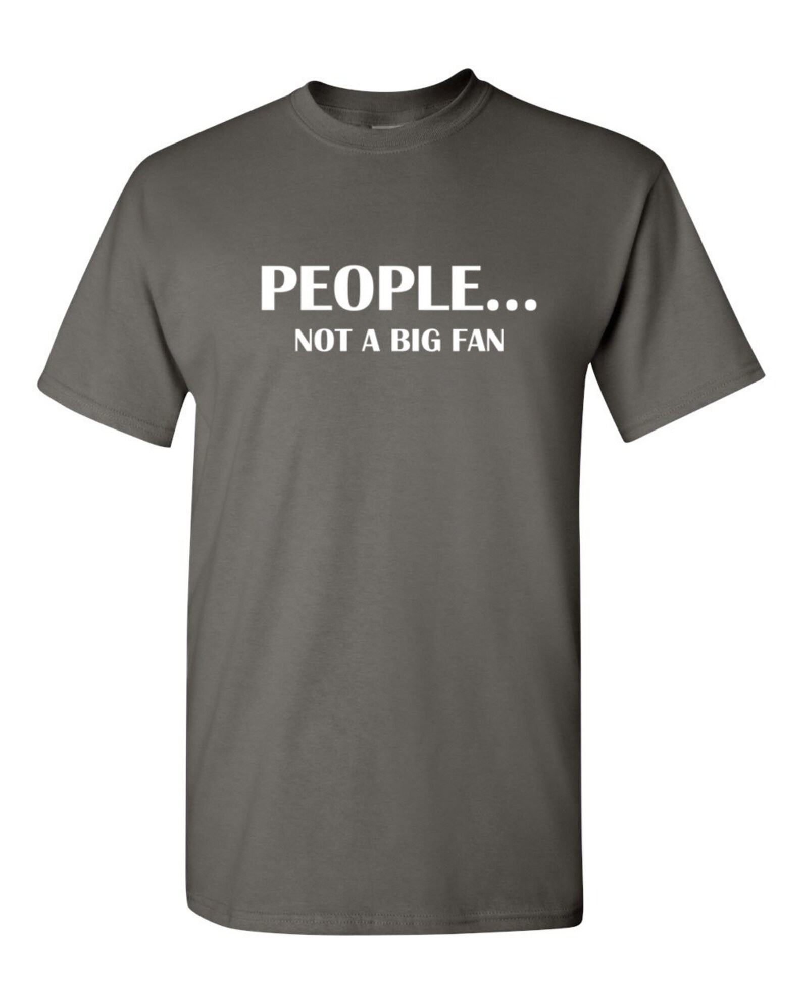 People... Not A Big Fan T Shirt Funny Birthday Gift - Etsy