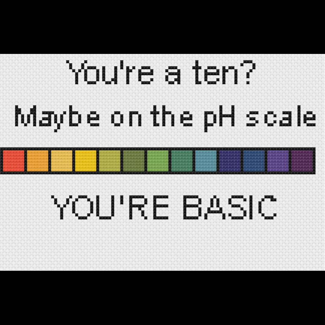 You're Basic Digital Cross Stitch Pattern - Etsy