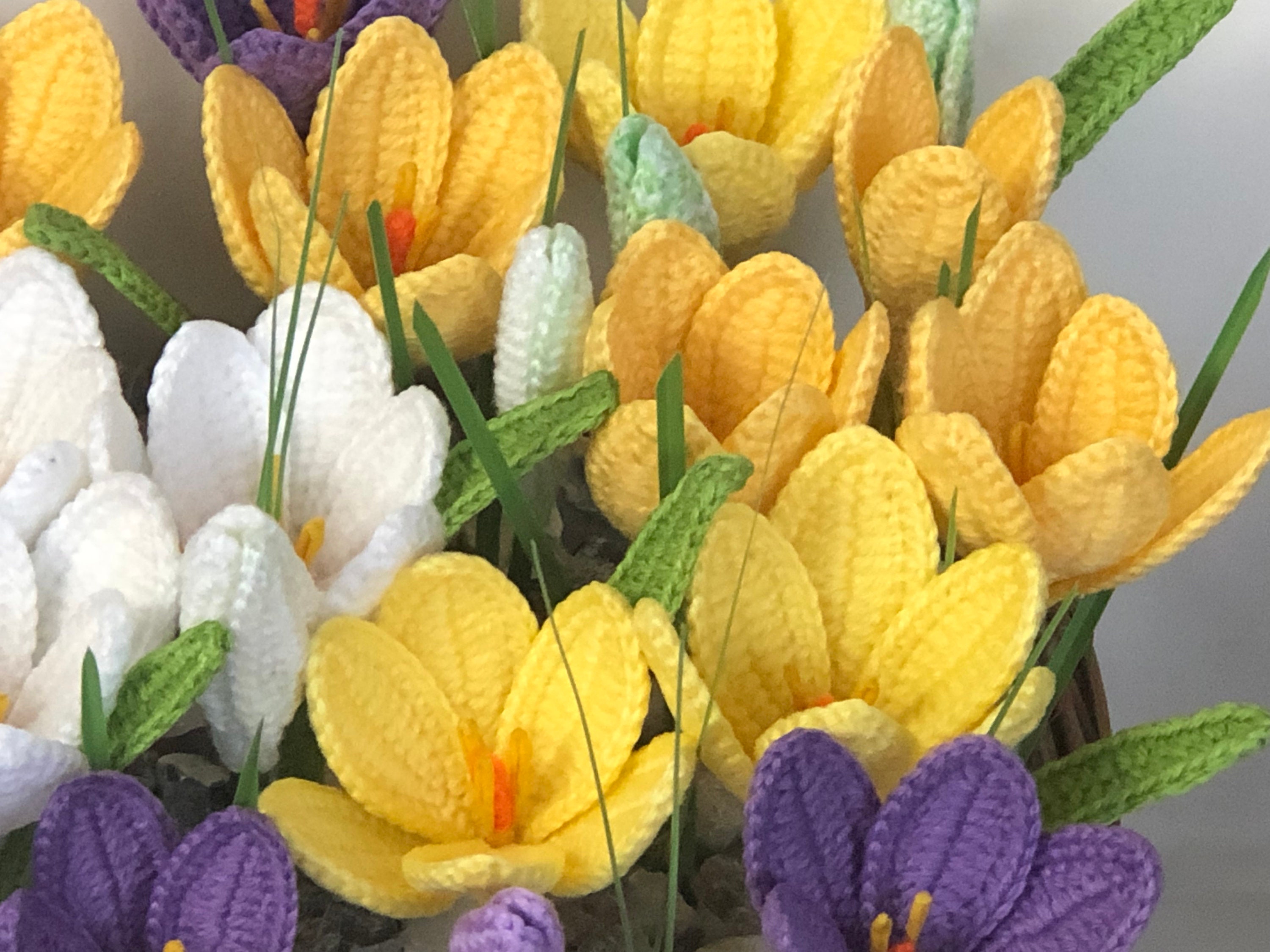 Crochet Crocus Pattern Spring Flowers Pattern Crochet | Etsy