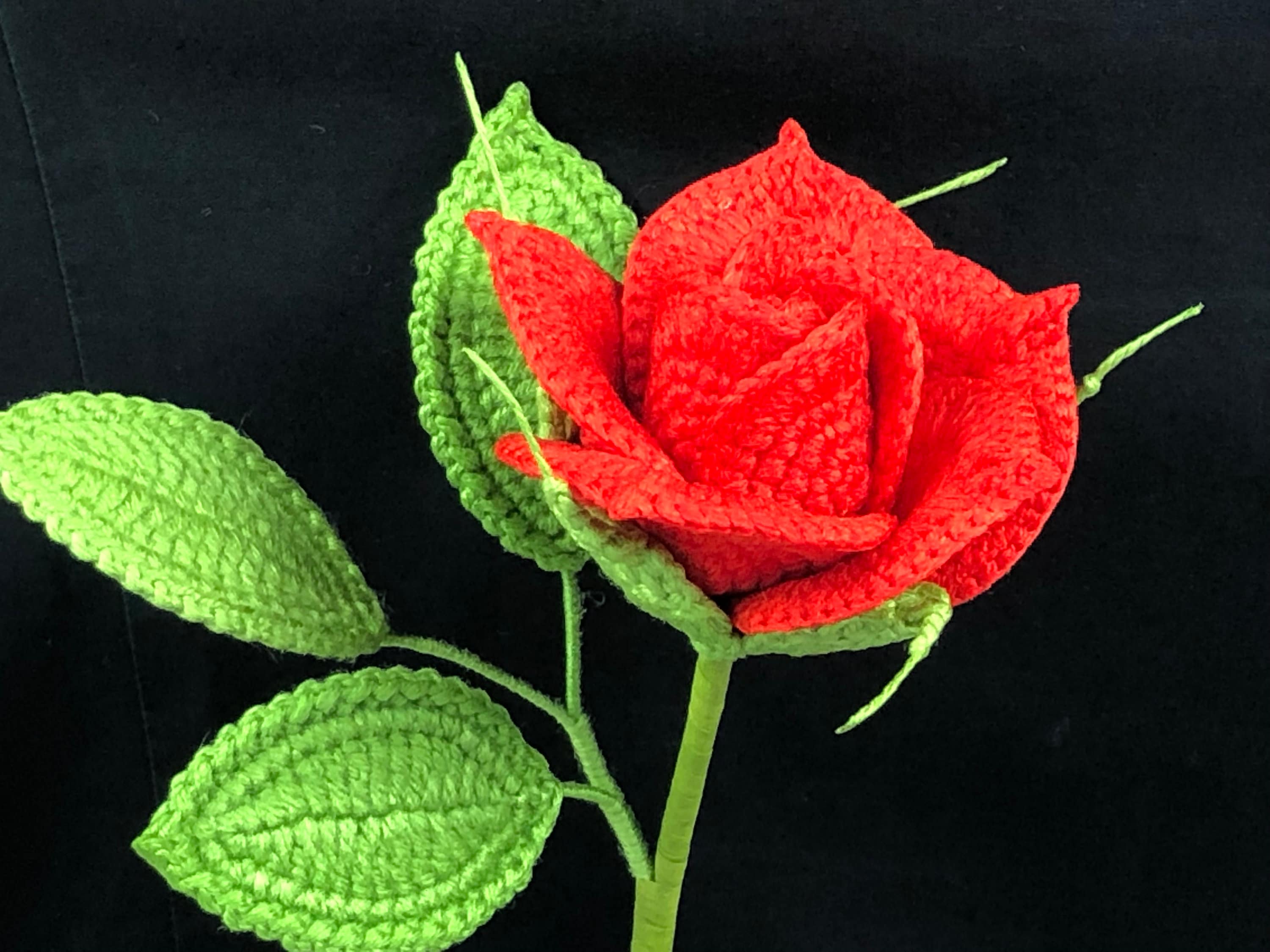 Hybrid Tea Rose 3 Sized Roses in 1 Pattern Hybrid Tea Rose - Etsy UK