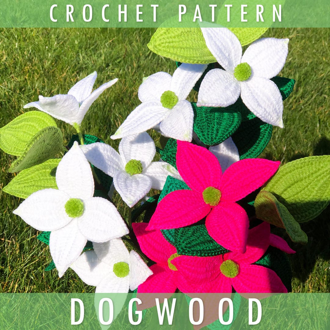 Chinese Dogwood Crochet Pattern Crochet Potato Vine Flower Crochet ...