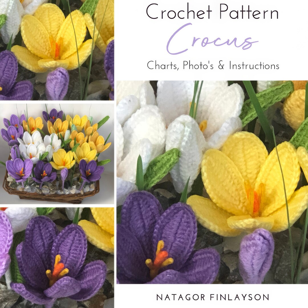 Crochet Crocus Pattern Spring Flowers Crochet Pattern Crochet Crocus ...