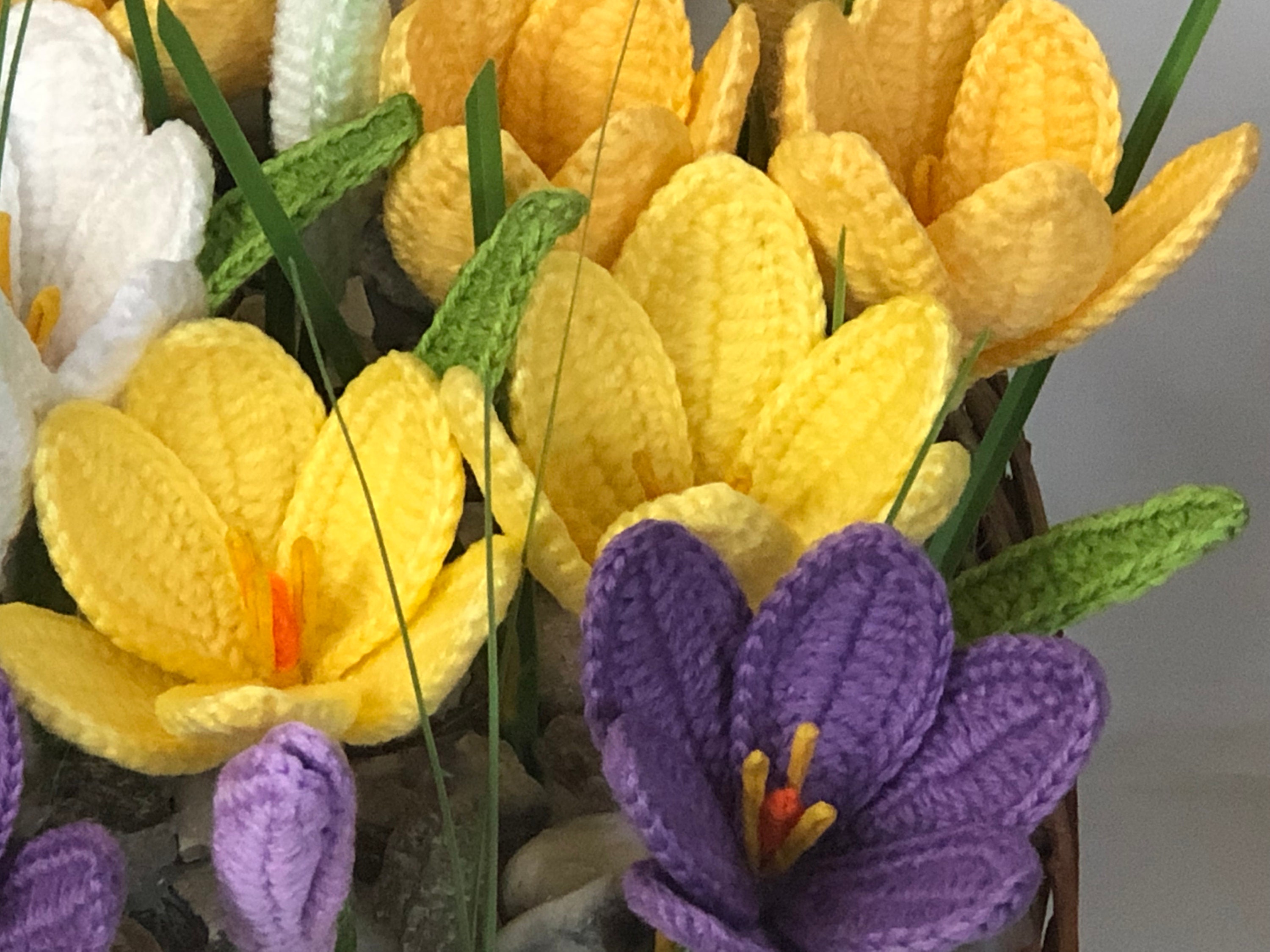 Crochet Crocus Pattern Spring Flowers Pattern Crochet | Etsy