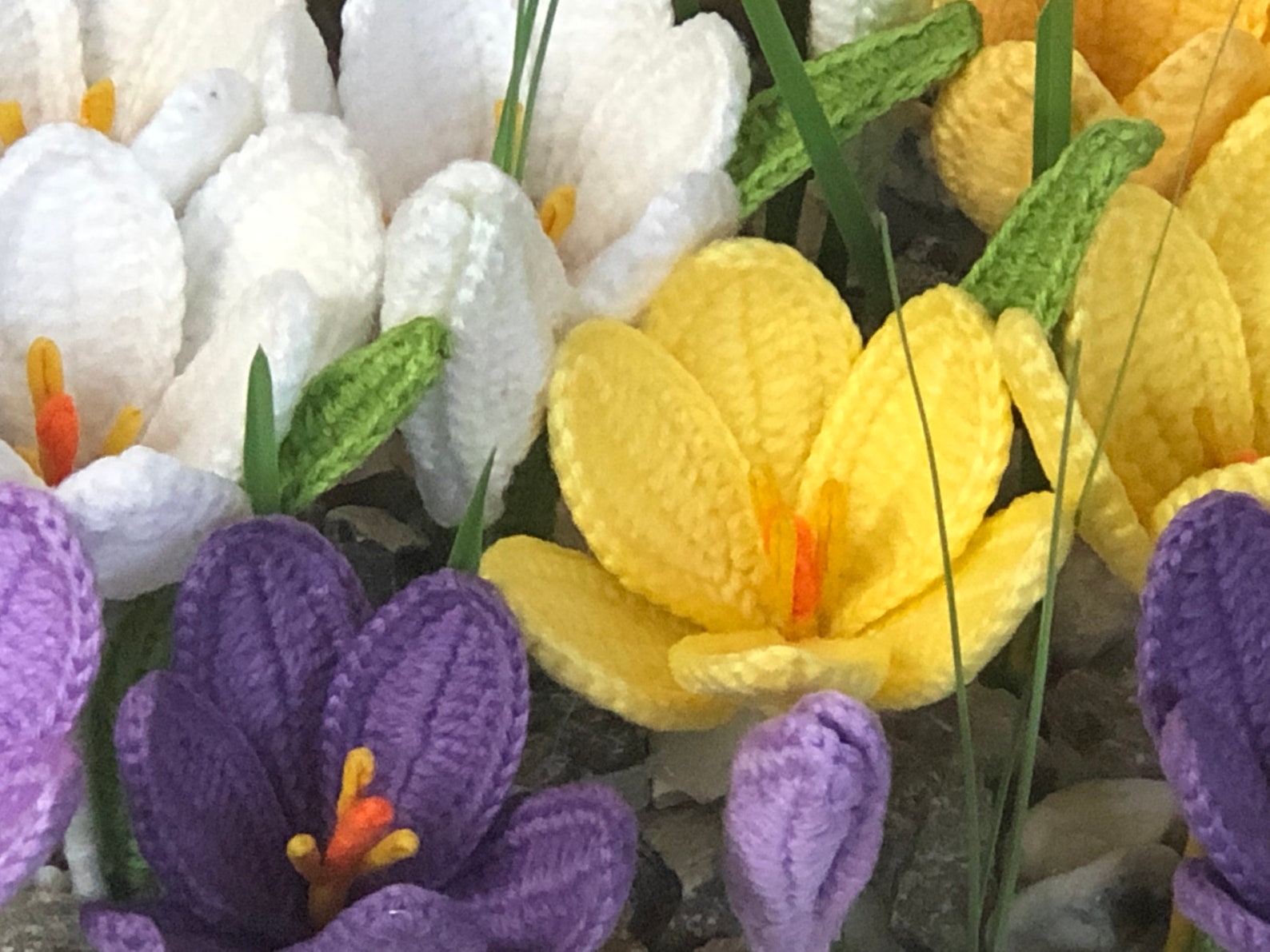 Crochet Crocus Pattern Spring Flowers Pattern Crochet | Etsy