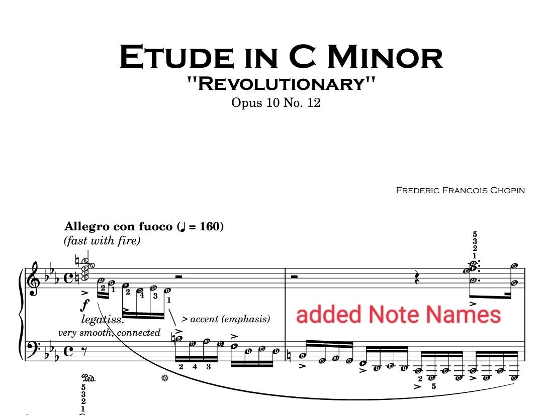 Etude Op. 10 No. 12 in C Minor Revolutionary CHOPIN Advanced Piano Sheet Music Score Self ...