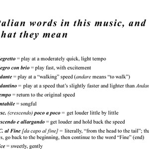 My First Book Chopin Piano Sheet Music Score - Simplified to Grade 2 - Etsy
