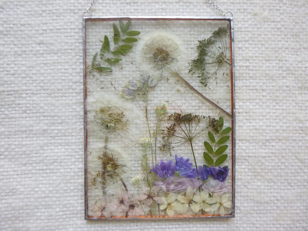 Pressed Flowers Frame, Botanical Art, Real Dried Dandelions Decor - Etsy