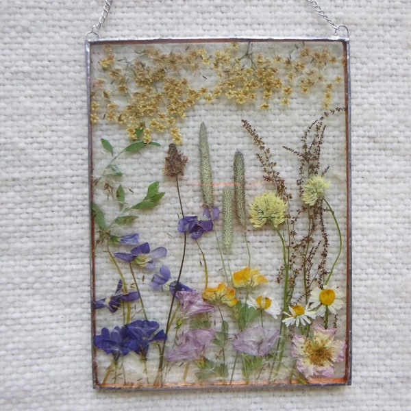 Herbarium Frame - Etsy