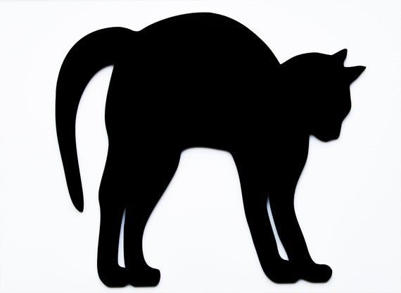 Scared Black Cat Halloween