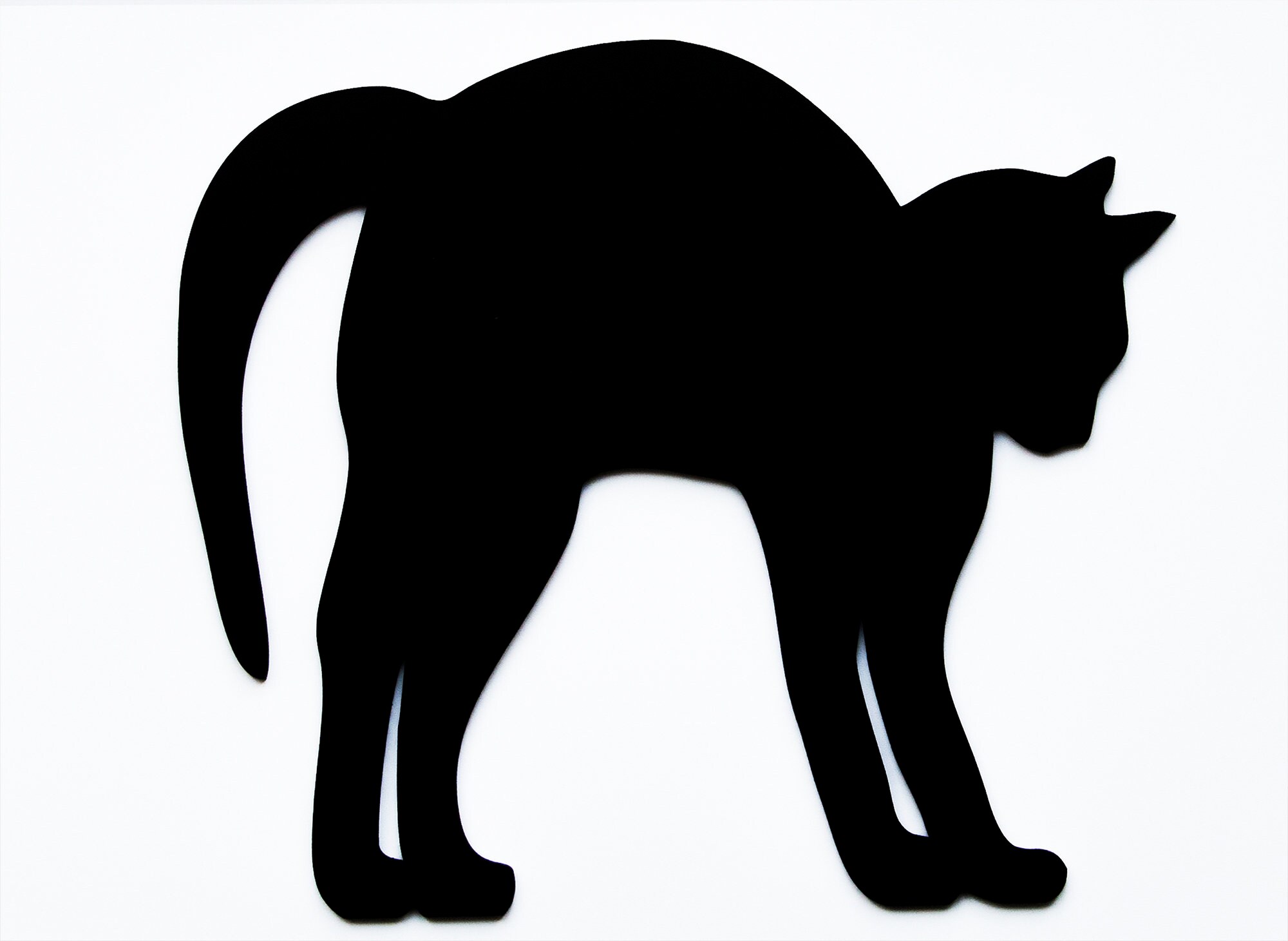 Scared Black Cat Outline