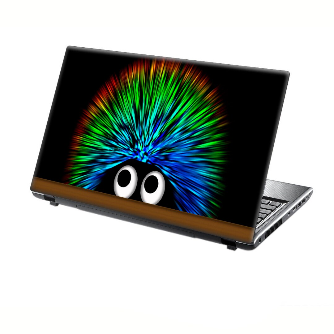 Taylorhe Laptop Skin Sticker Colourful Rainbow Hedgehog - Etsy