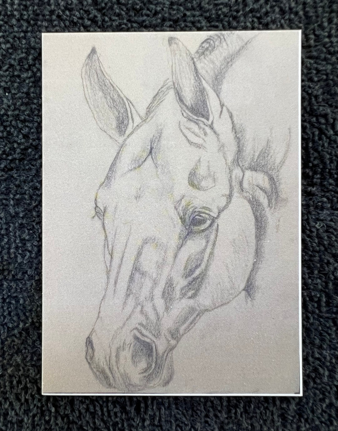 ACEO Horse Head ATC Artist Trading Card Print - Etsy
