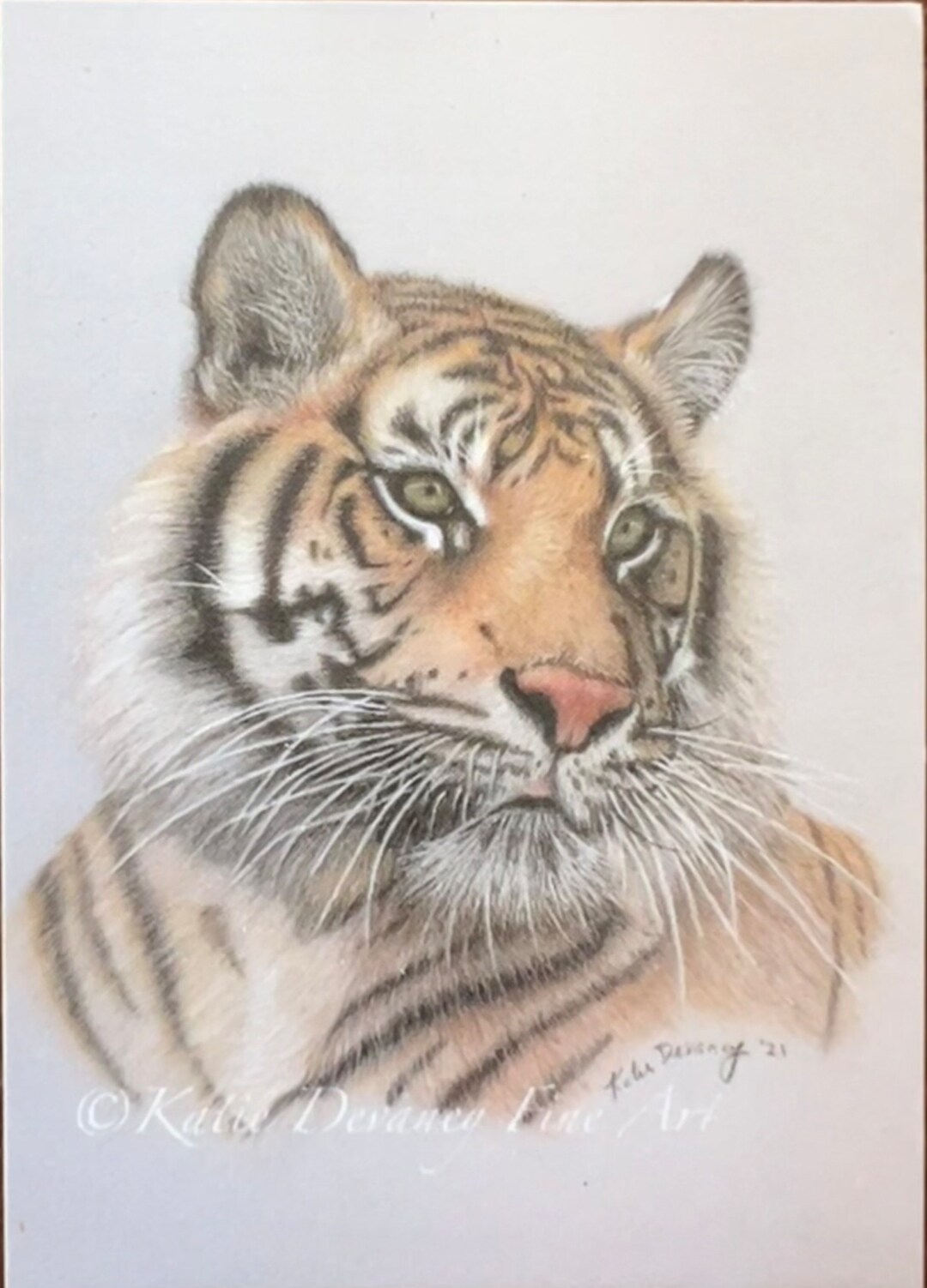 ACEO Tiger ATC Art Collectors Card Print - Etsy