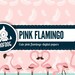 Pink Flamingo Digital Paper Pink and White Flamingos Digital Paper Pack ...