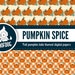 Pumpkin Spice Digital Paper | Pumpkin Spice Latte | Pumpkin Fall ...