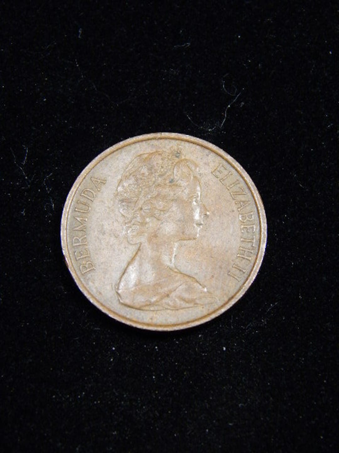 1970 British Bermuda 1 Cent Pig Coin - Etsy