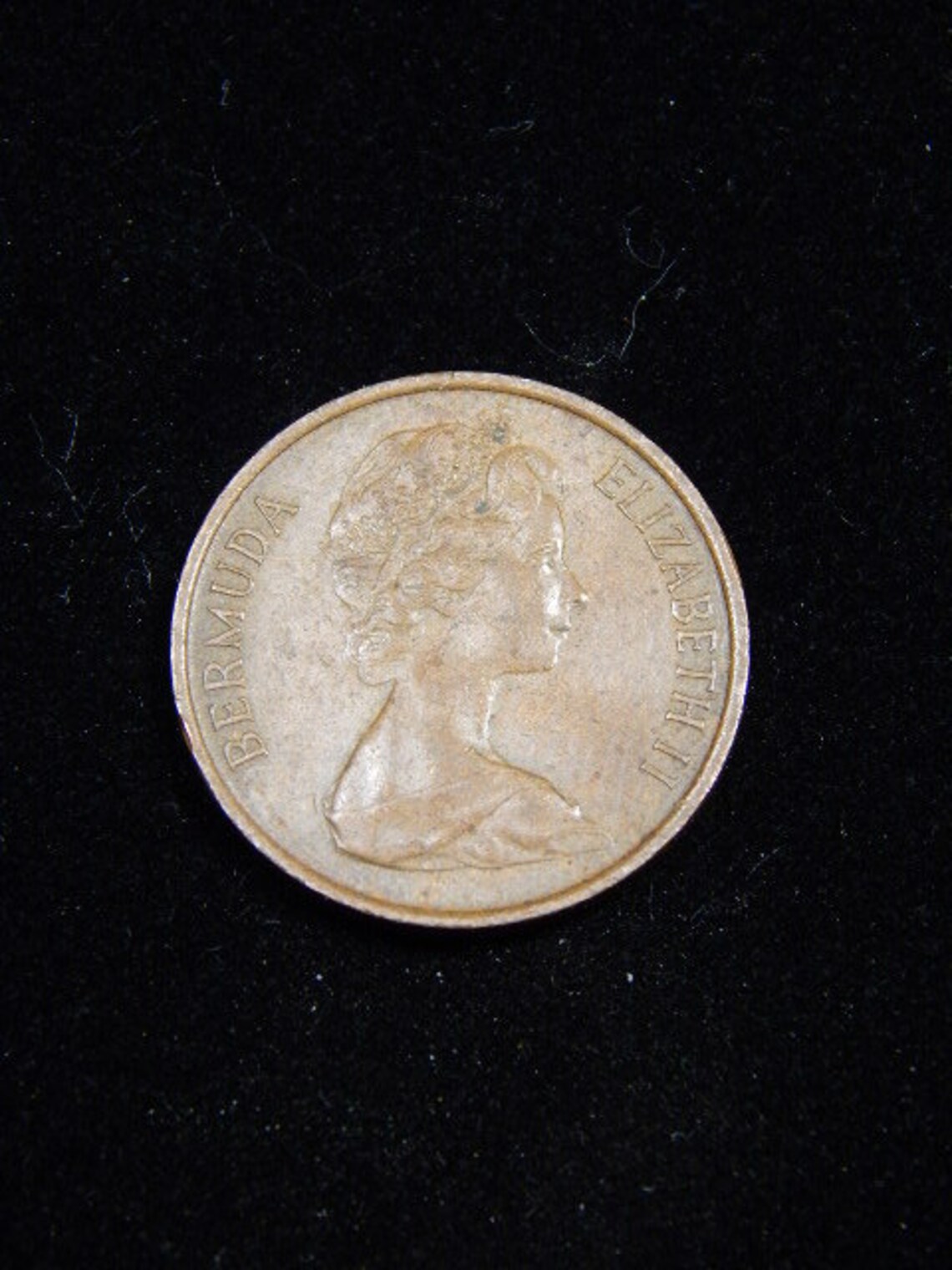 1970 British Bermuda 1 Cent Pig Coin - Etsy