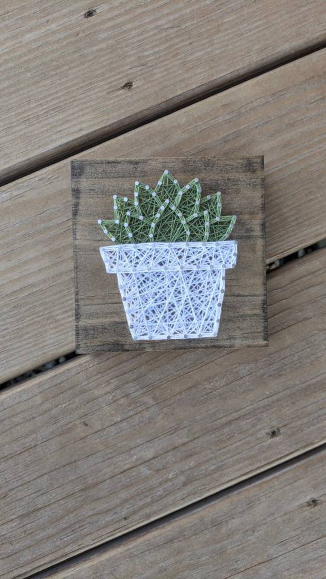 Succulent String Art Made to Order Potted Plant Plant - Etsy