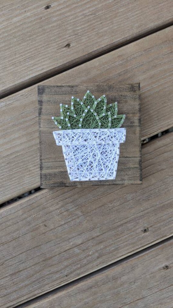 Succulent String Art Made to Order Potted Plant Plant | Etsy