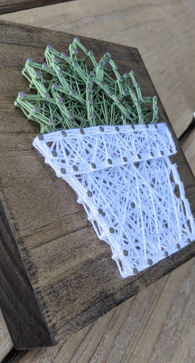 Succulent String Art Made to Order Potted Plant Plant | Etsy
