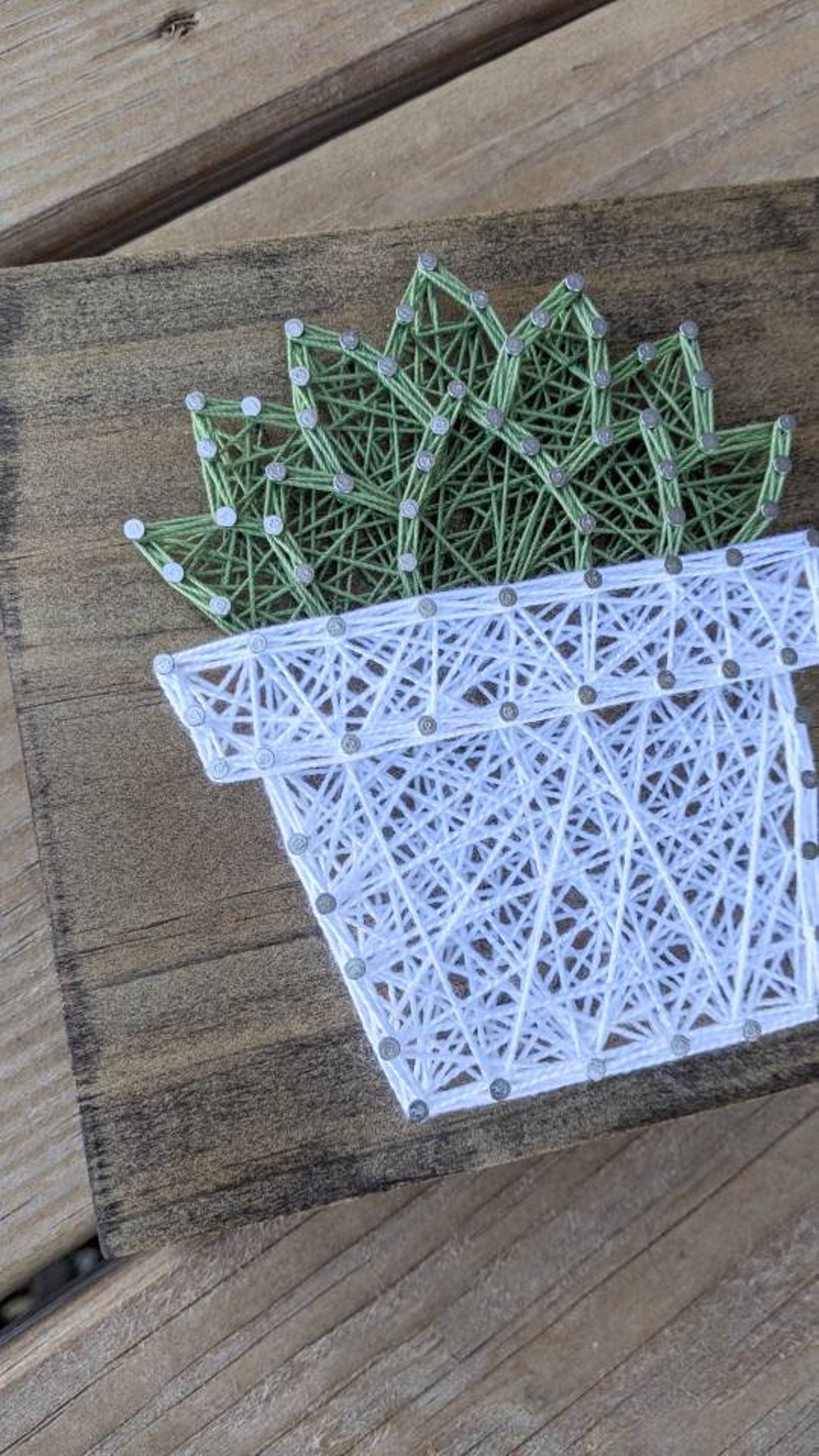 Succulent String Art Made to Order Potted Plant Plant | Etsy