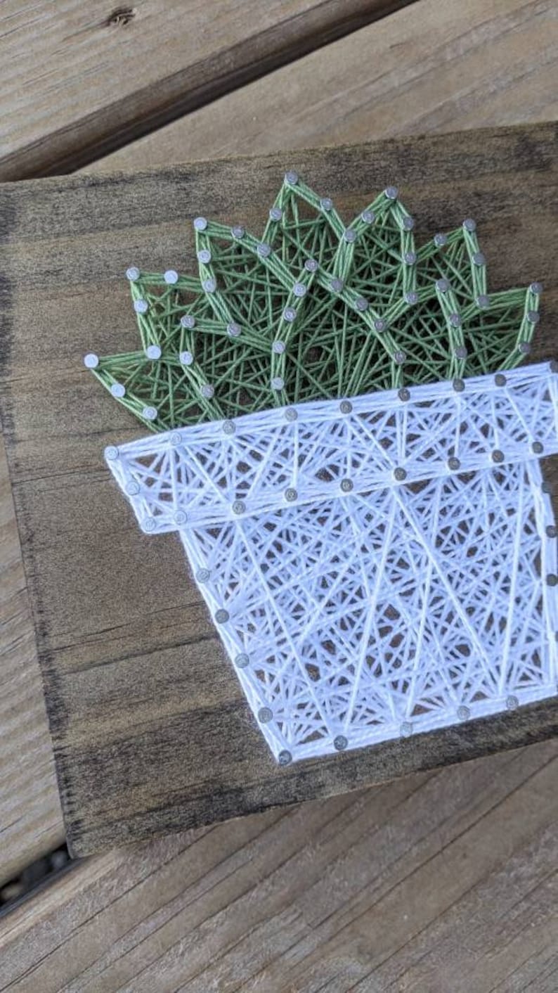 Succulent String Art Made to Order Potted Plant Plant | Etsy