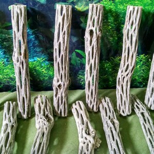 20 Pc. 6" Driftwood Cholla Wood Lava Agate Tillandsia Air Plant Stand ...