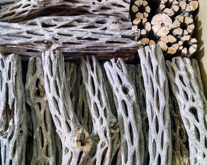 100 Cholla Cactus Wood, 6 Inch by 3/4 to 1-1/4 Inch, ORGANIC, Untreated ...