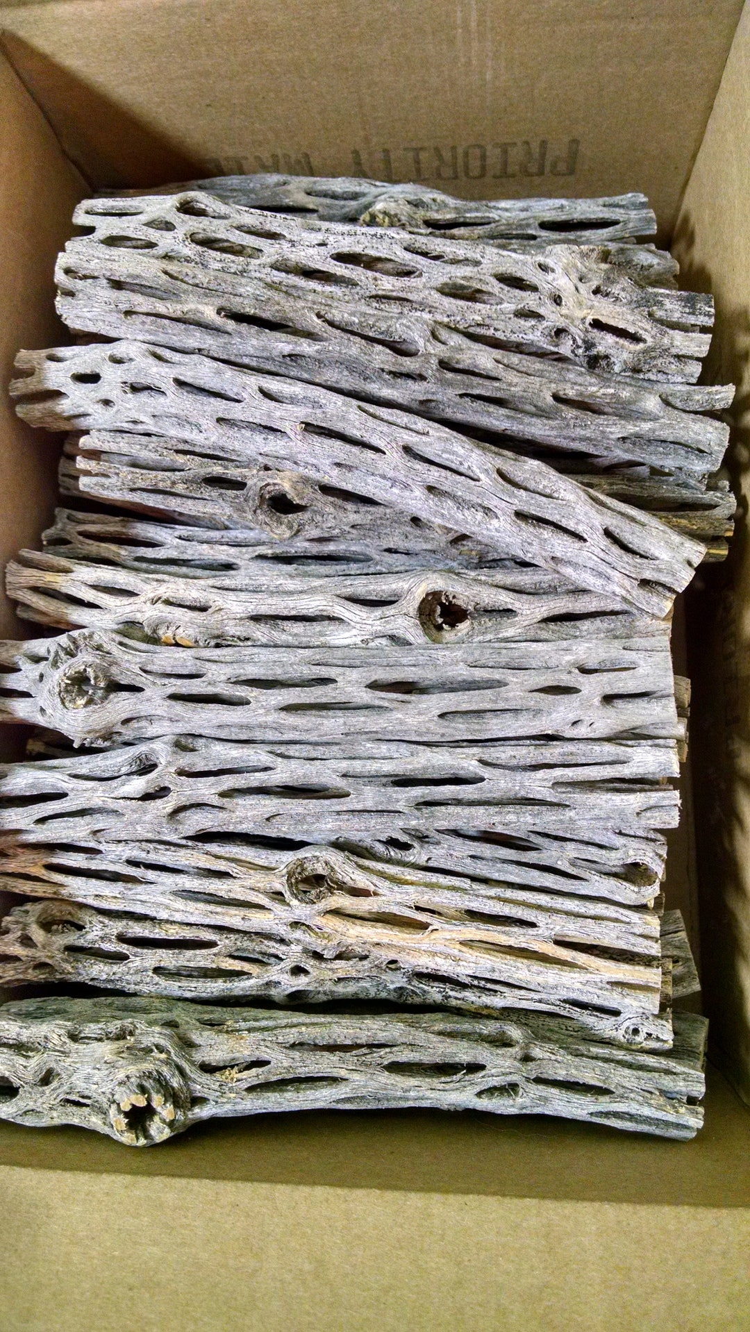 50 Cholla Cactus Wood, 6 Inch 3/4 Minus, ORGANIC, Untreated, Chews, - Etsy