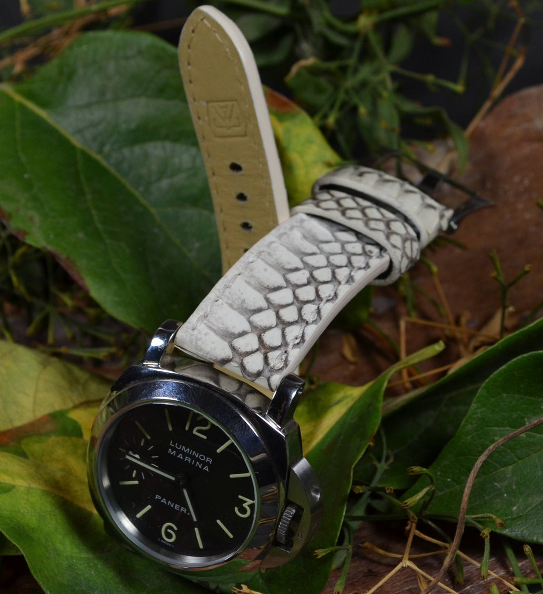 Handmade White Genuine Cobra Snake Skin Watch Strap: 22 24 26mm for ...