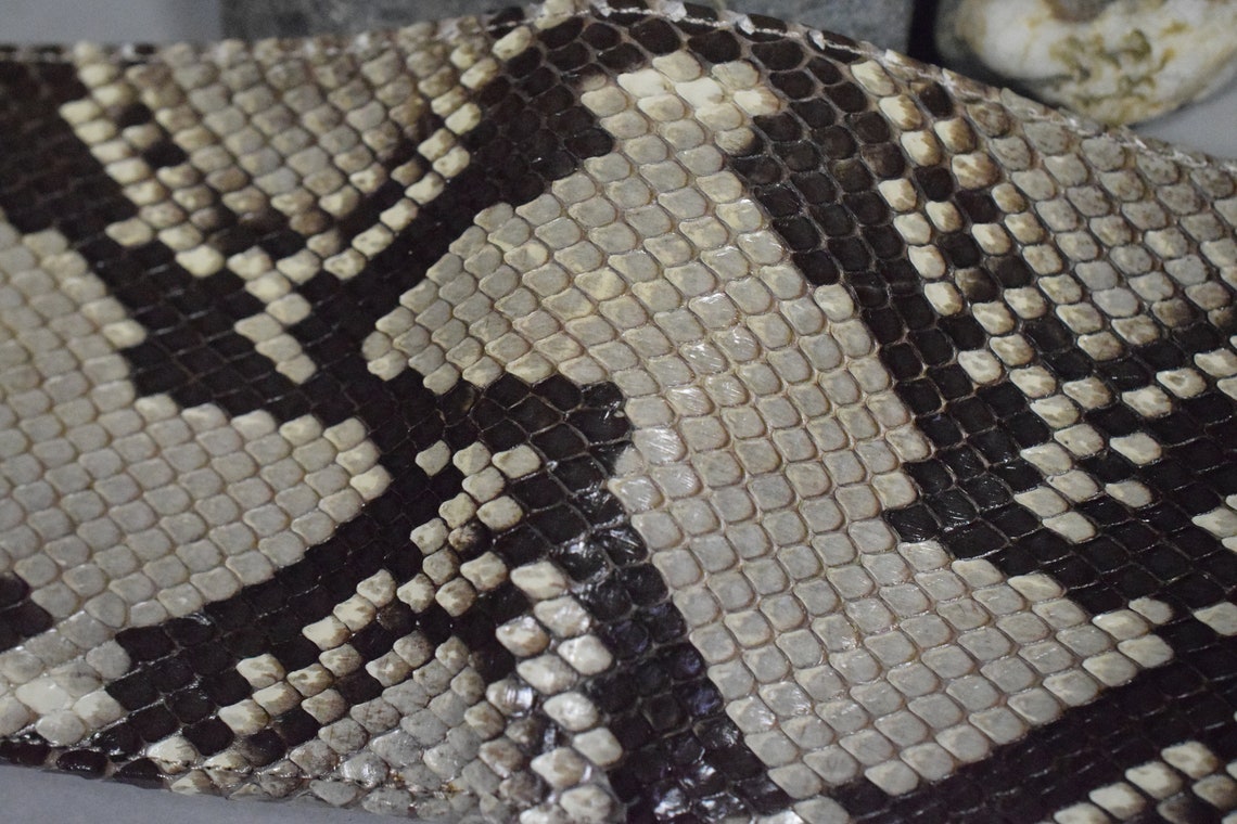 MA Mens Bifold Handmade Wallet With Genuine Python Skin Grey - Etsy