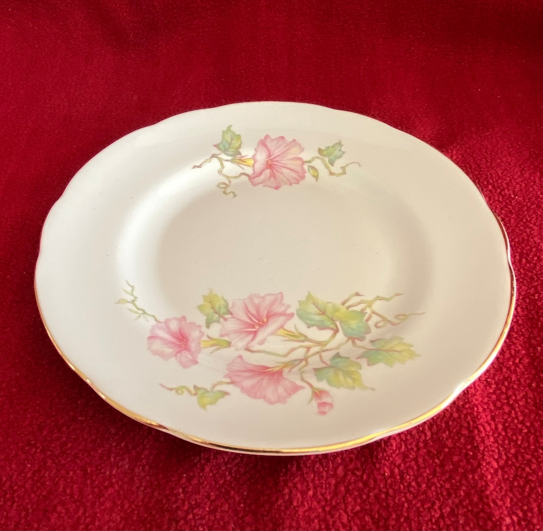 Royal Stuart Fine Bone China Tea Plate: Pink Morning Glory, Gold Rim - Etsy