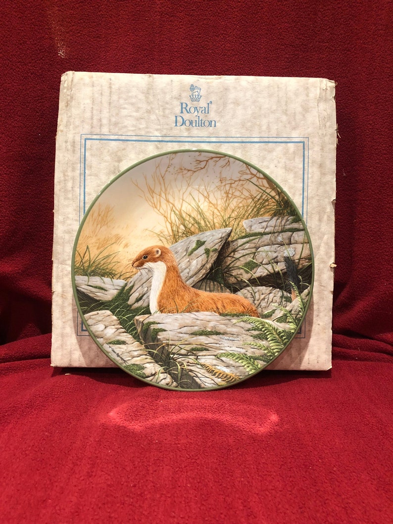 Royal Doulton Stoat Plate: Portraits of Nature, W G Rollinson - Etsy UK