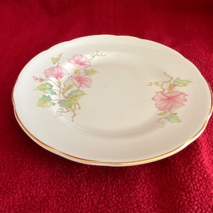 Royal Stuart Fine Bone China Tea Plate: Pink Morning Glory, Gold Rim - Etsy