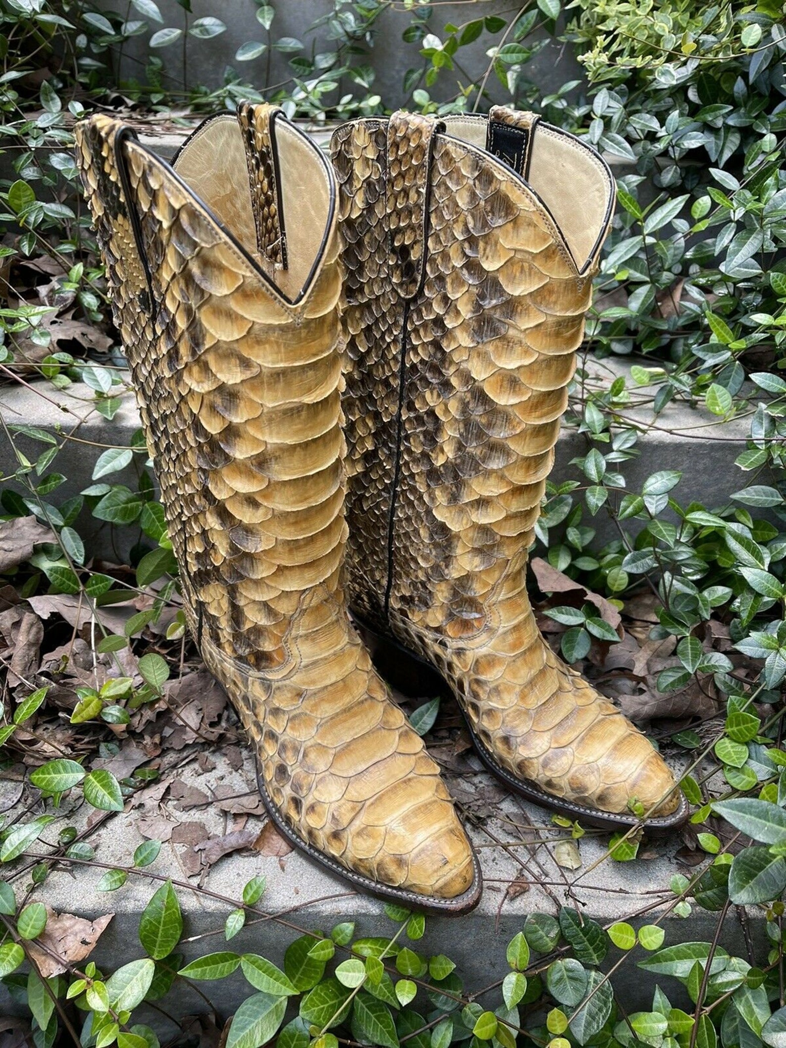 Vintage Tony Alamo Giant Boa Constrictor Snakeskin Cowboy | Etsy