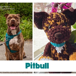 Custom Stuffed Dog, Custom Dog Plush, Custom Crochet Dog, Custom Pet ...