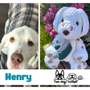 Custom Stuffed Dog, Custom Dog Plush, Custom Crochet Dog, Custom Pet ...