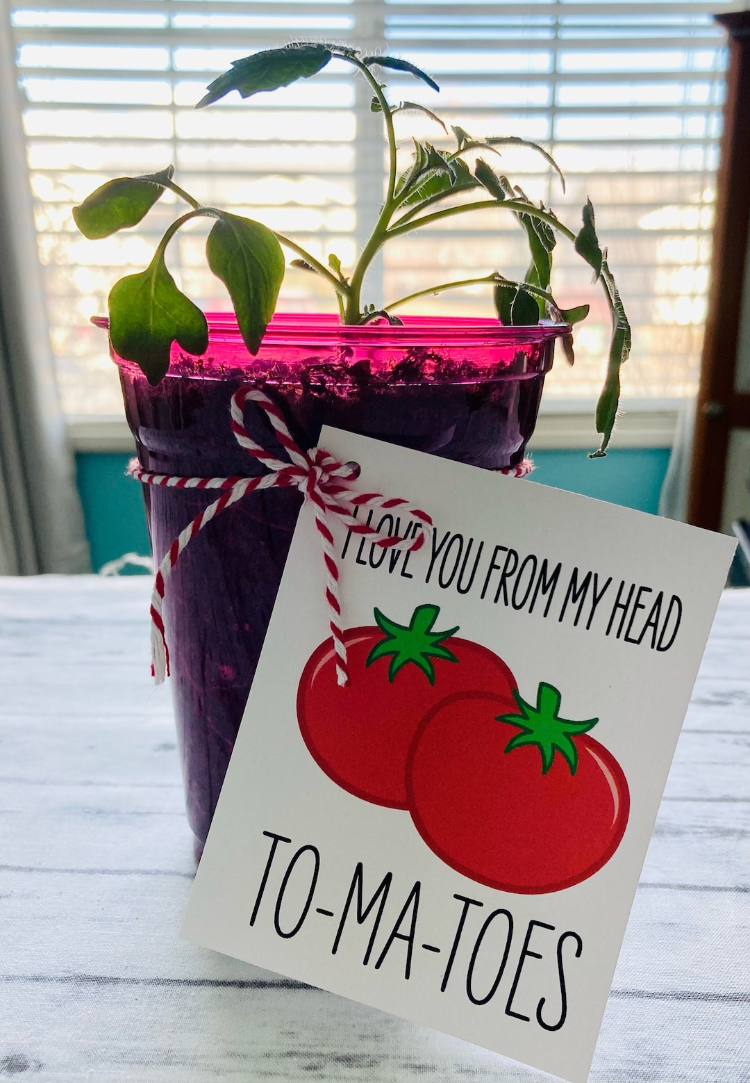 Mother's Day Gift Tag • I Love You From My Head To-ma-toes • Tomato ...