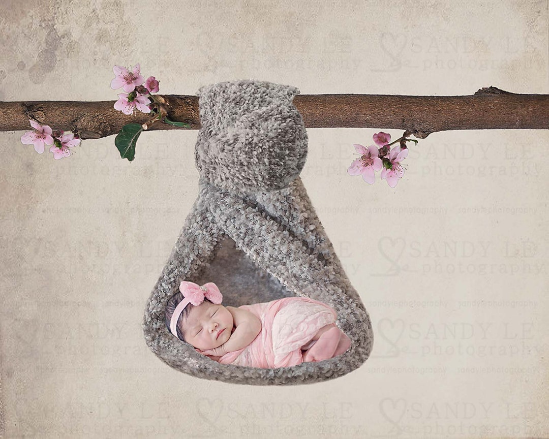 Newborn Digital Backdrop - Hanging Tree Branch With Cherry Blossoms ...